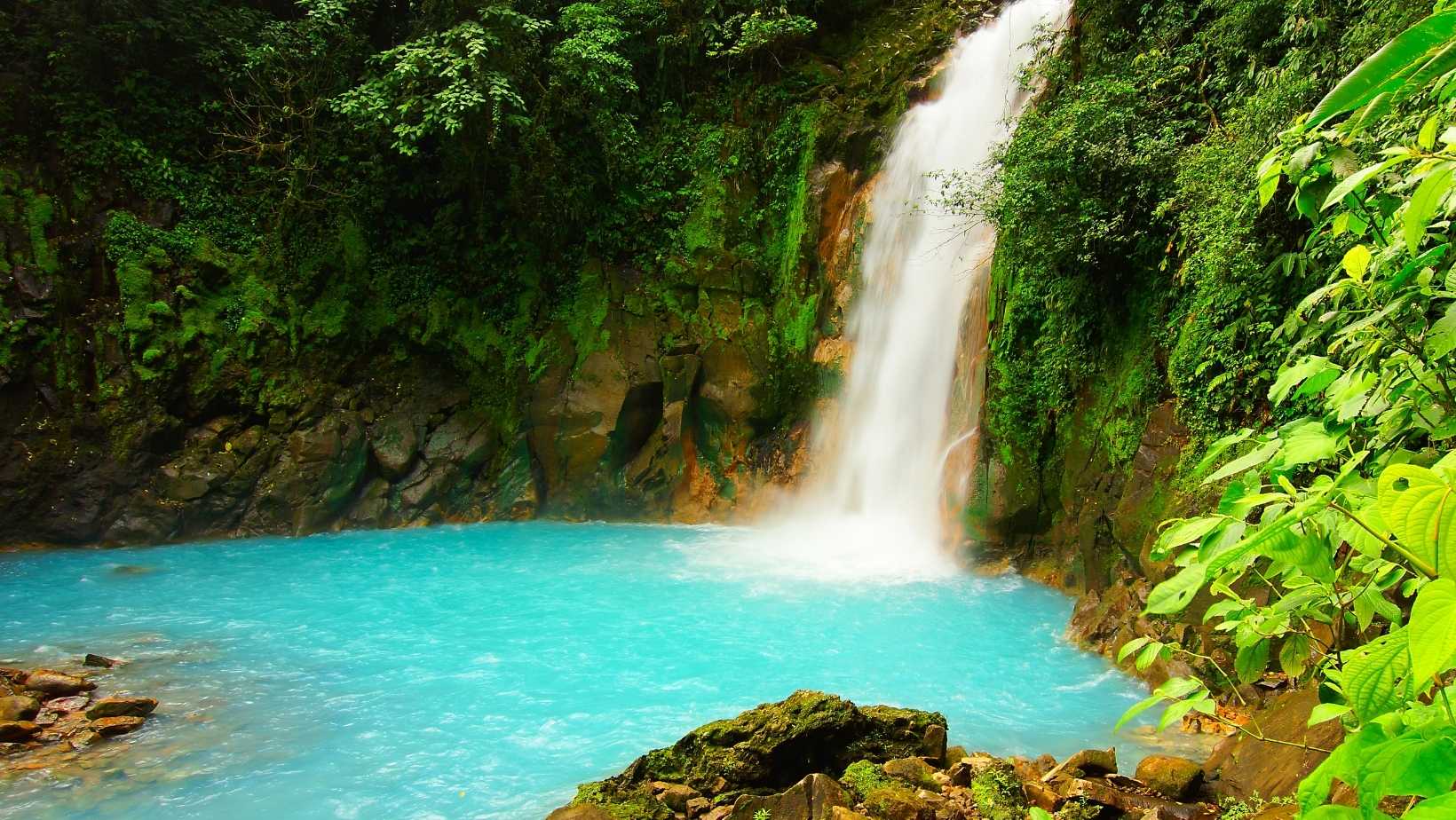 Parco Nazionale Braulio Carrillo (Costa Rica): biodiversità eccelsa