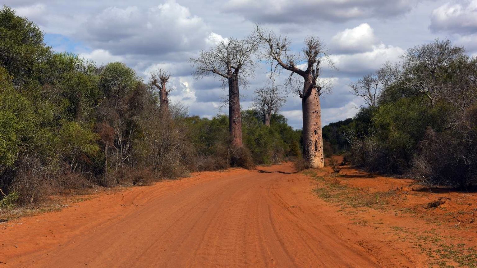 Toliara (Madagascar), Atsimo-Andrefana: città coloniale portuale